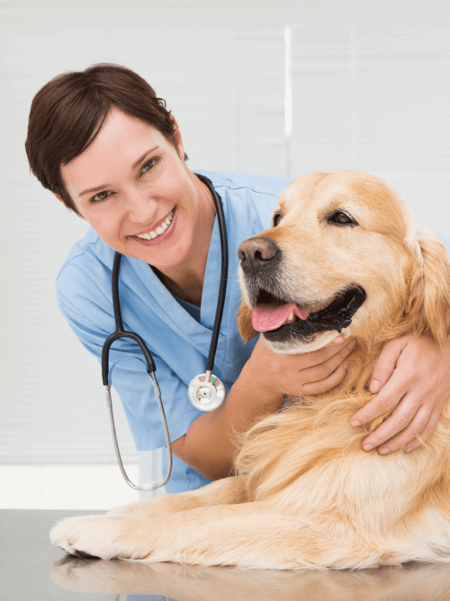 Elberton Animal Hospital - Elberton, GA